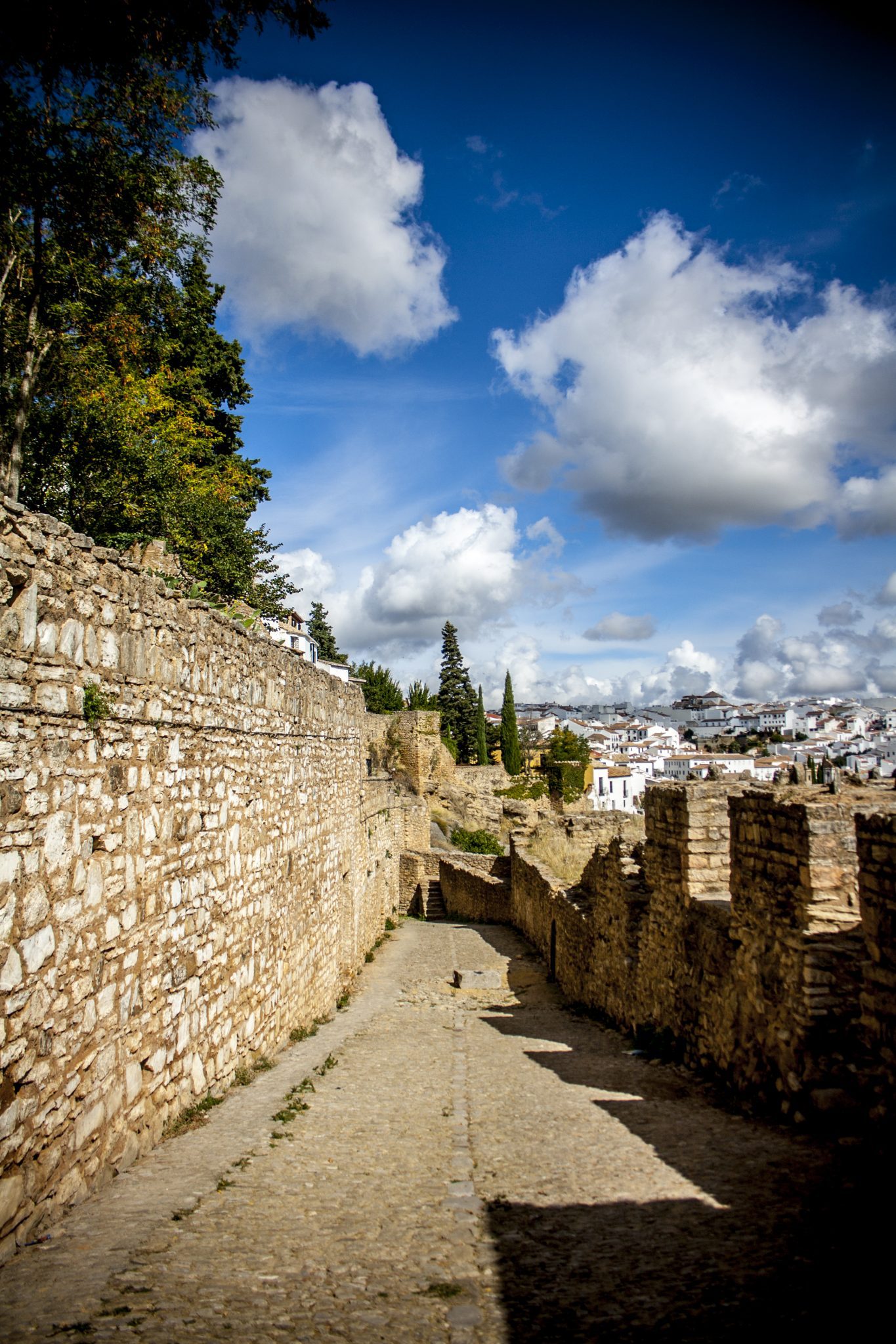 The Alhambra of Granada: A Map to Your Adventure - Discovering Spain
